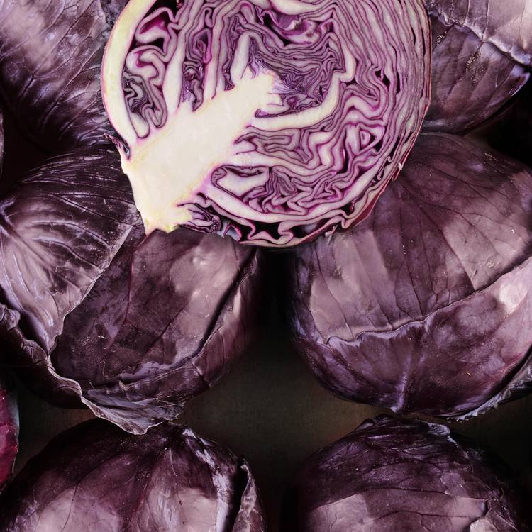 Boutique | Le potager de la coccinelle